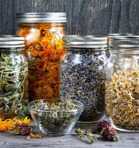 Tervendavad ravimtaimed